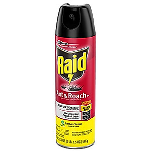 Raid Ant & Roach Killer Lemon Scent 17.5 Ounce (Pack of 6)