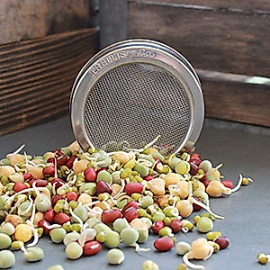 Trellis + Co. | Stainless Steel Sprouting Kit, 2 Pack | Rust Proof 316 Stainless, Curved Mesh, Fits Most Wide Mouth Mason Jars | Grow Your Own Organic Sprouts From Seeds, Sprouter