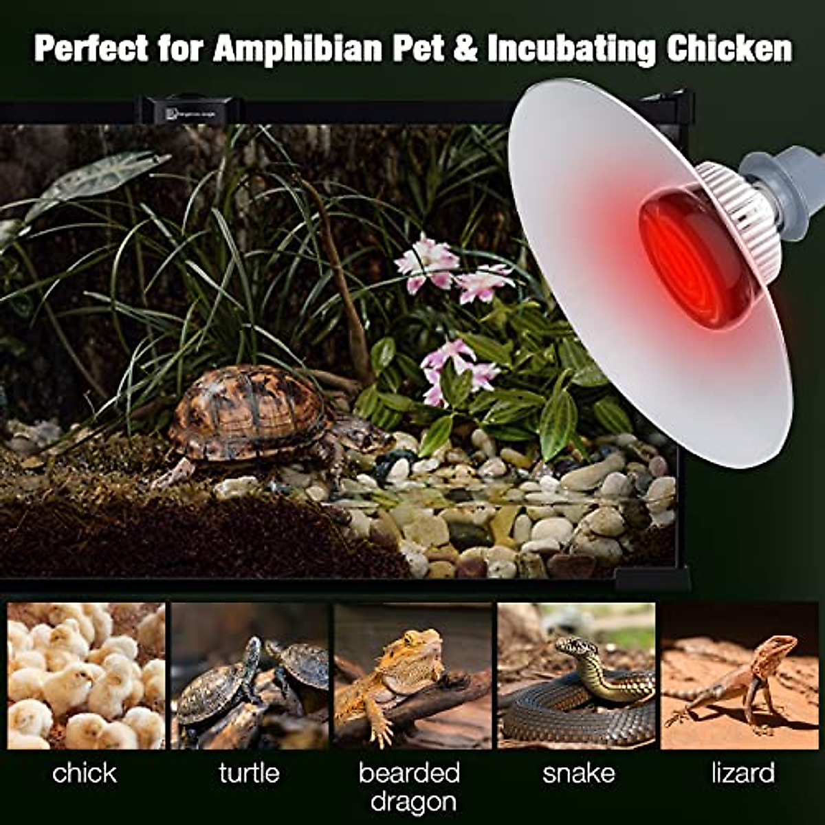 CUUQII 2 Packs Reptile Heat Lamp Ceramic Emitter, 100W Heat Lamp Bulbs Ceramic Heat Lamp No Light Emitting Chicken Coop Heater for Amphibian Pet Incubating Chick Reptile Heater-E26/E27 Base
