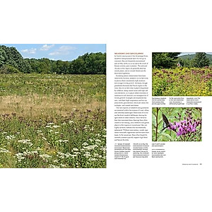 The Living Landscape: Designing for Beauty and Biodiversity in the Home Garden