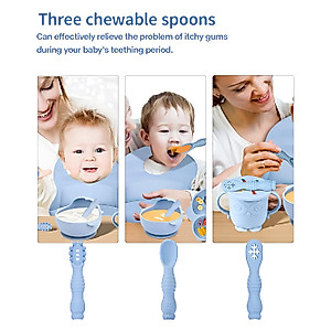 10Pcs Silicone Baby Feeding Set - Baby Led Weaning Supplies-Toddler Utensils with Baby Plates and Bowls with Suction, Bibs, Straw Cup,Baby Spoons Forks,- Ideal for Baby Self Feeding 6+ Months