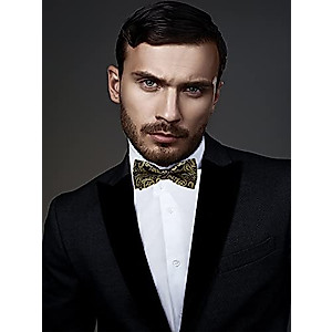 DiBanGu Black Gold Paisley Bow Tie for Men Adjustable Pretied Bow Tie Handkerchief Cufflinks