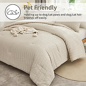 AveLom Beige Seersucker Twin Comforter Set (68x90 inches), 2 Pieces-100% Soft Washed Microfiber Lightweight Comforter with 2 Pillowcases, All Season Down Alternative Comforter Set for Bedding