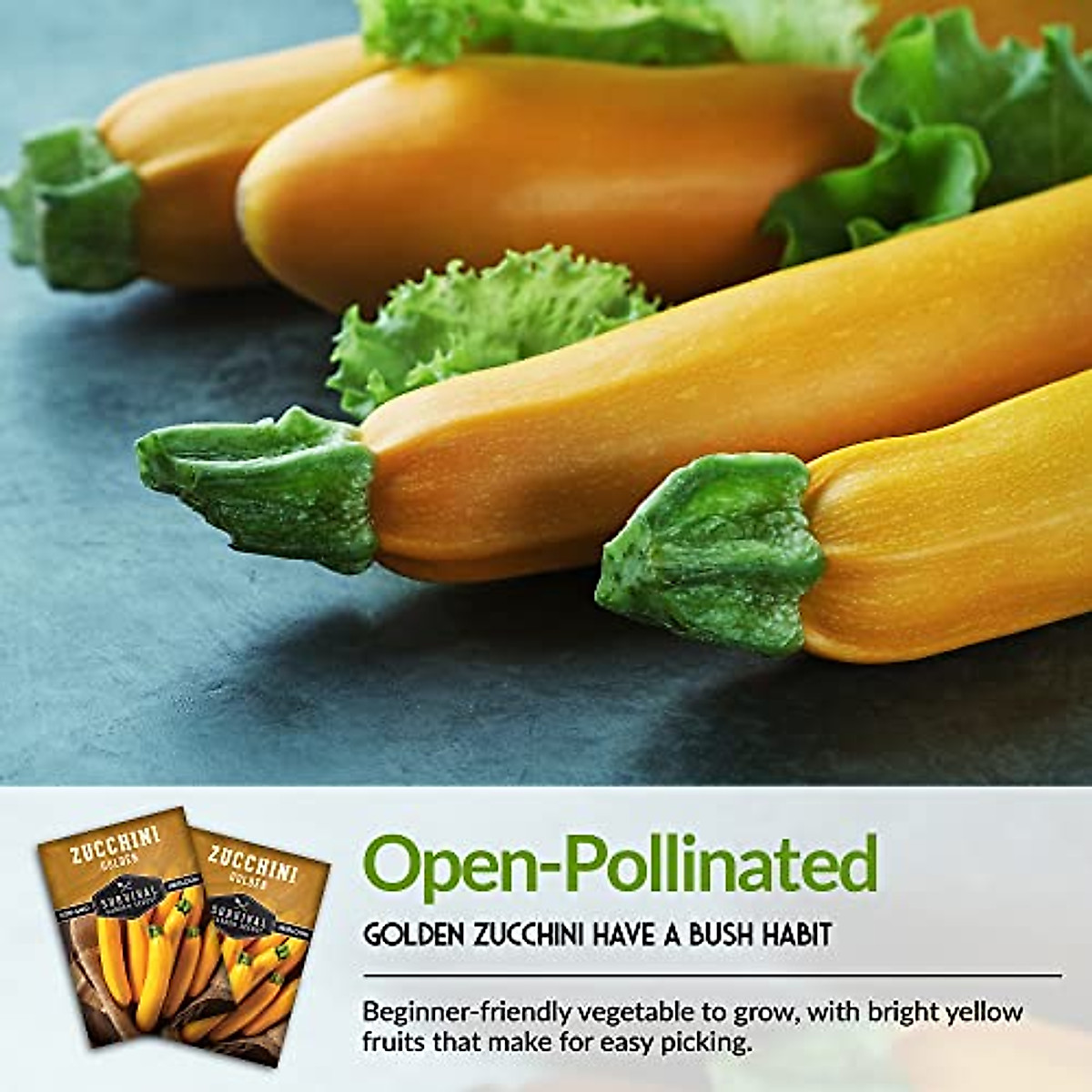 Survival Garden Seeds - Golden Zucchini Seeds for Planting - Packet with Instructions to Plant and Grow Yellow Zucchini Vegetables in Your Home Vegetable Garden - Non-GMO Heirloom Variety