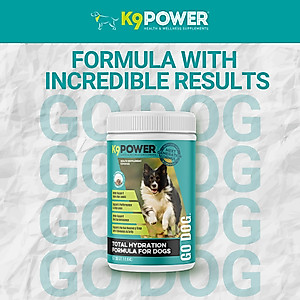 K9 Power Go Dog Hydration & Performance Drink Mix 1 lb - Active Dog Supplement for Muscle Function, Endurance, Recovery, with Electrolytes Support