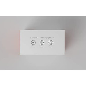 SwanScout 3 in 1 Charging Station for Google Pixel Watch 1, SwanScout 701G, 25W Fast Type-C Wired Charger Stand for Google Pixel 8 Pro/8a/8/Fold/7a/7/7 Pro/6/6 Pro/6a/5/5a/4a, Pixel Buds Pro/A-Series