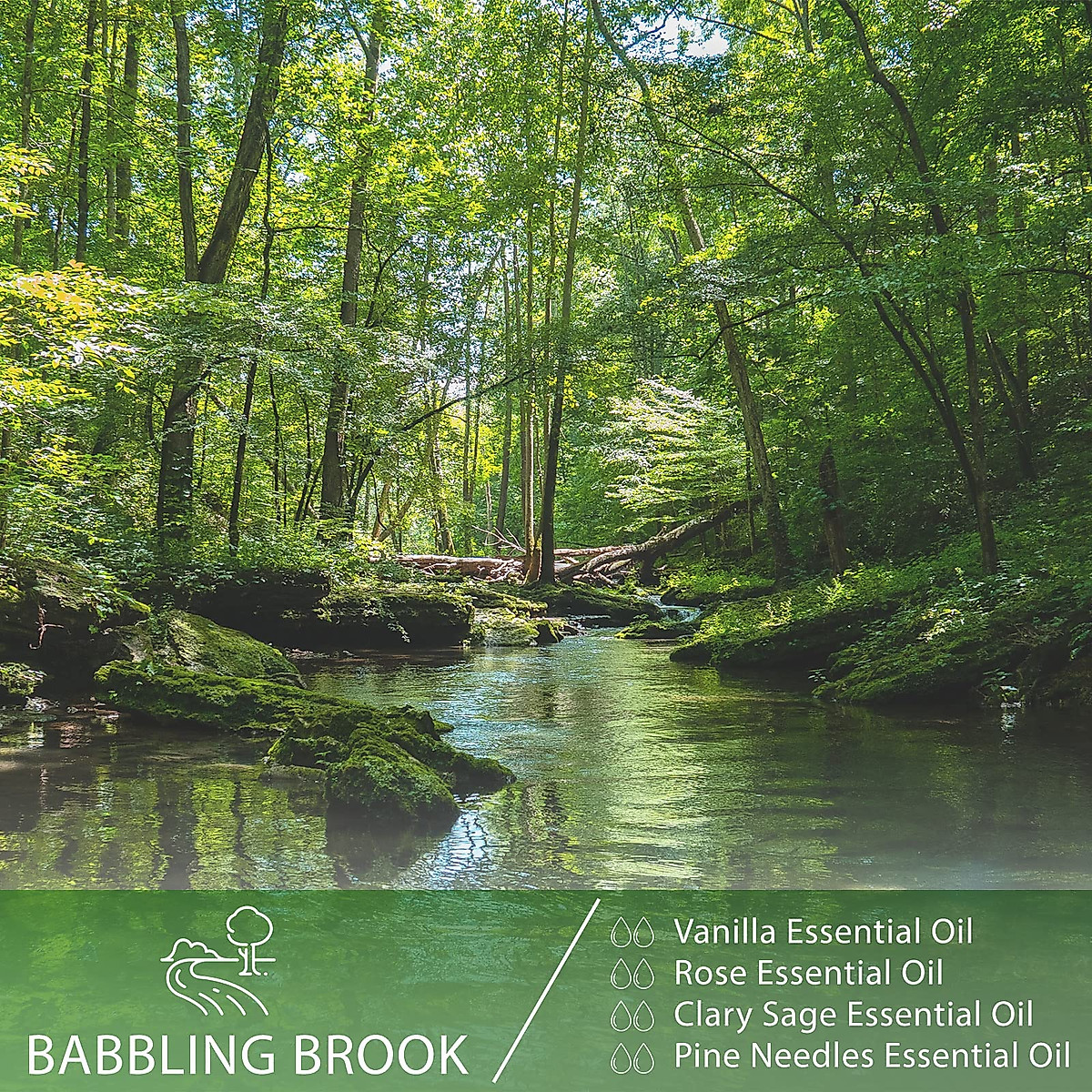 Vanilla Essential Oil, 1.01Fl.Oz (30ML) PHATOIL Pure Essential Oil Singles for Aromatherapy Diffusers, Humidifiers, Great for DIY Candle and Soap Making, Gift for Friend