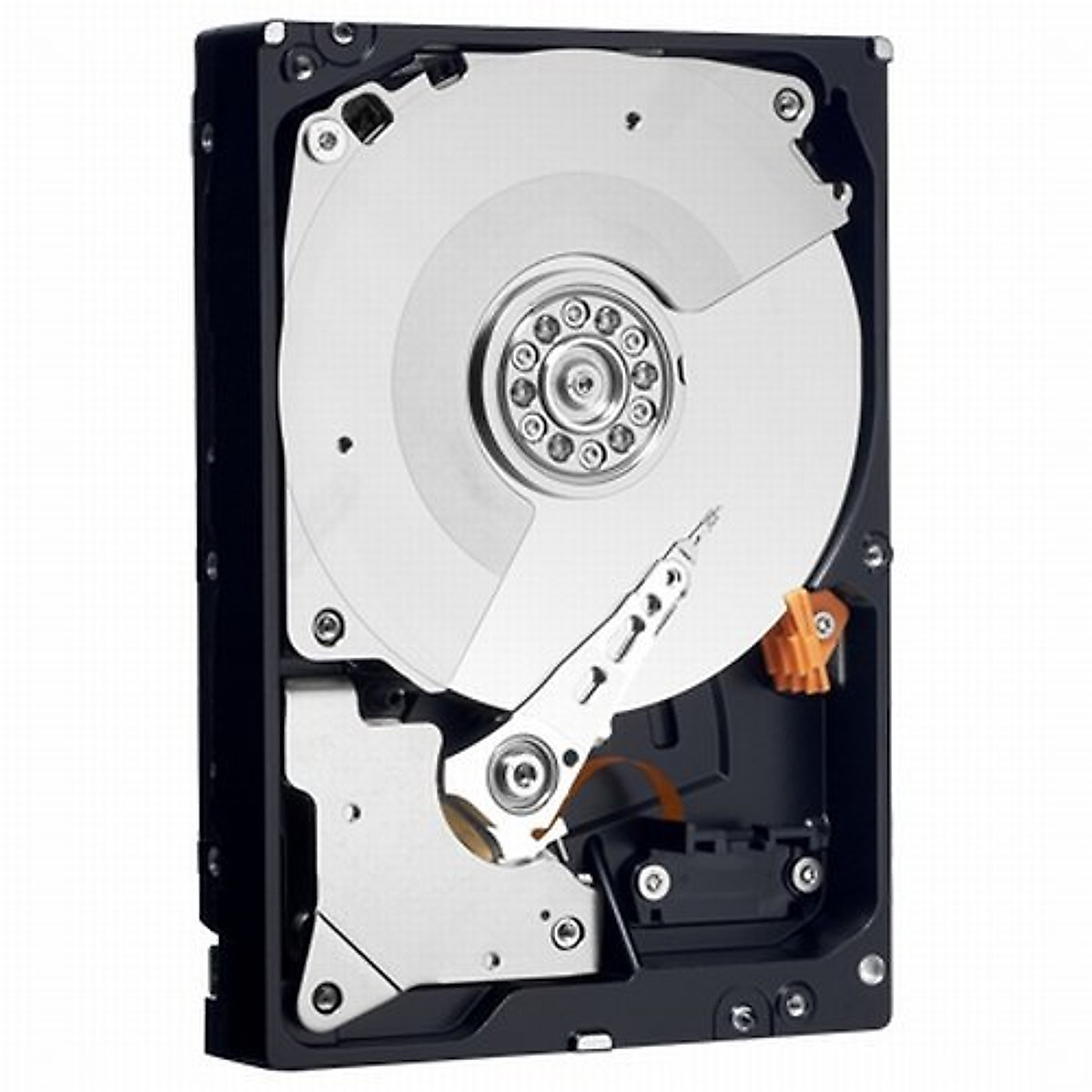 Western Digital 750 GB RE3 SATA 7200 RPM 32 MB Cache Bulk/OEM Enterprise Hard Drive WD7502ABYS (Renewed)
