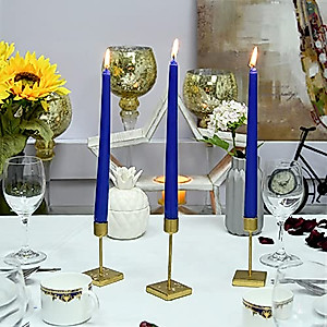 Zest Candle 12-Piece Taper Candles, 10-Inch, Blue