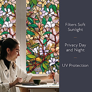 artscape Magnolia Window Film 24" x 36"