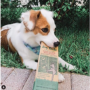 Dog Rocks - Prevent Grass Burn Spots by Pet Urine, Save Your Lawn from Yellow Marks, 3 Bags of 200g Each (6 Month Supply Total)