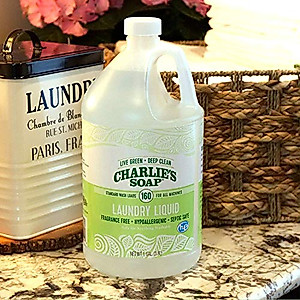 Charlie's Soap HE Hypoallergenic Liquid Laundry Detergent with Pump, 1 Gallon