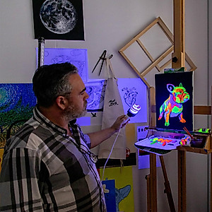 Mont Marte Fluoro Acrylic Paint Set, 8 x 1.02oz (36ml) Tubes, 8 Colors, Suitable for Most Surfaces Including Canvas, Card, Paper and Wood