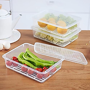 Frcctre Set of 5 Fridge Produce Saver Food Storage Containers Stackable Refrigerator Organizer Bins with Removable Drain Plate and Lid to Keep Produce Fruits Vegetables Meat Egg Fish, 2 Sizes
