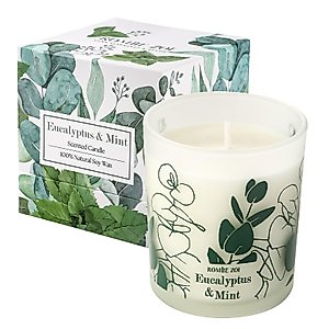 ROMIIE ZOI Scented Candle - Eucalyptus & Mint - 6oz Aromatherapy Soy Wax Jar Candle for Home, Gifts for Women - 170g