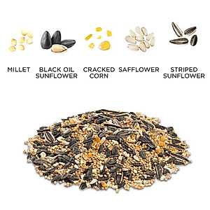 Audubon Park 12225 Premium Blend Wild Bird Food, 5-Pounds, 80 Fl Oz (Pack of 1)