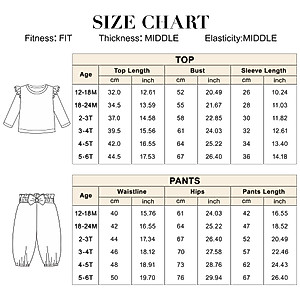 SANMIO 24 Month Girl Clothes Baby Girl Outfits Solid Color Ruffle Top+ Floral Pant + Headband 3Pcs Toddler Baby Girl Fall Outfits Set