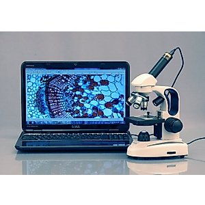 AmScope M158B-2L Cordless Compound Monocular Microscope, WF10x and WF20x Eyepieces, 40x-800x Magnification, Upper and Lower LED Illumination with Rheostat, Brightfield, Single-Lens Condenser, Coaxial Coarse and Fine Focus, Plain Stage, 110V or Battery-Pow