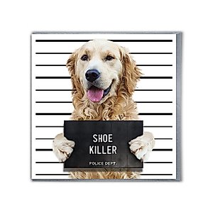 Brainbox Candy - Funny Birthday Cards - 'Shoe Killer' - Cute Dog Cards - Golden Retriever Dog Owners - Pet Dog Lovers - Cheeky Birthday Cards for Him Her Men Women Partner Friend