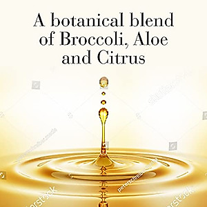 Elizabeth Arden Flawless Start Instant Perfecting Primer Antioxidant Blend