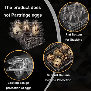KUKLIPJIM 300 Pack Quail Egg Cartons, Clear Plastic Quail Egg Trays, Holds up to 6 Quail Eggs Securely - Your Ultimate Small Eggs Carton Holders for Bulk Storage and Display