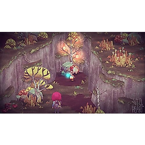 The Wild at Heart - PlayStation 4