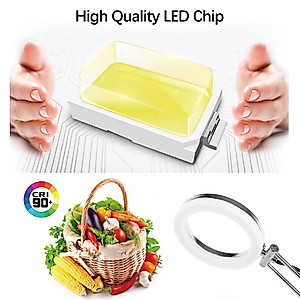 DINGLILIGHTING DLLT Metal LED Desk Lamp, Adjustable Eye-Caring Architect Table Lamp, Modern Small Tall Reading Lamp for Bedroom, Study Room & Office Work Lighting (Silver)