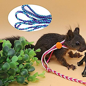 Hamster Leash Small Pet Harness No Harm Nylon Braided Collar Flying Squirrel Other Small Pets for Squirrel Hamster(Blue+Purple)
