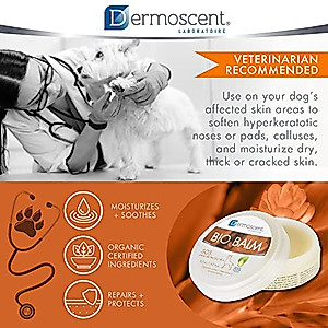 Dermoscent | Bio Balm | Natural, Organic, Healing Dog Paw Balm | Skin & Paw Soother For Dogs With Dry, Cracked, & Rough Paws | Veterinarian-Approved Paw Pad Moisturizer & Protector