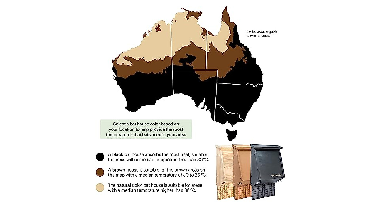 WHITEHORSE 4-Compartment Bat House - A Premium Cedar Bat Box That is ...