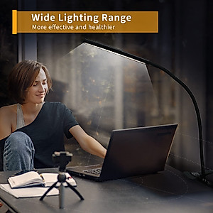 ECHEAIO Clip on Light LED Desk Lamp with Clamp Eye-Caring Dimmable Reading Light for Headboard,3 Modes 10 Brightness, Flexible Gooseneck Book Light Memory Function Desk Lamps for Home Office