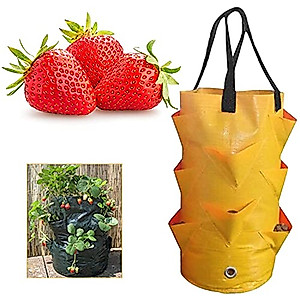 EBOCACB 3 pcs Hanging Planter Bag with Handles, Plastic Hanging Strawberry Planting Containers Strawberry Grow Bags Foldable Durable Growing Bags Grow Planter for Growing Vegetables Flowers Herb Plant