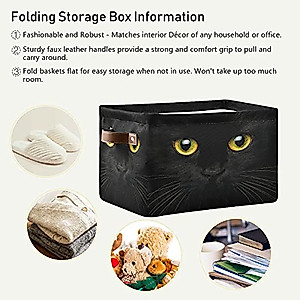 TropicalLife Rectangular Storage Bin Cube Funny Animal Black Cat Foldable Organizer Basket with Handles, Collapsible Storage Box for Kids Toy Shelf Closet Nursery