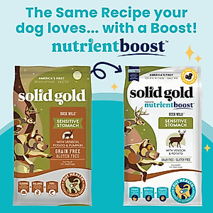 Solid Gold Dry Dog Food for Adult & Senior Dogs - Made w/Real Venison, Potato, & Pumpkin - Nutrientboost Buck Wild Sensitive Stomach Dog Food for Protein Sensitivities & Gut Health - 22 LB