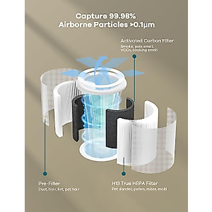 WELOV P100 Mini/P100 Mini Pro Air Purifier Replacement Filter, H13 True HEPA High-Efficiency Activated Carbon Filter for Pet Hair Dander Wildfire Smoke Pollen Dust Mite Kitchen Smells Odor