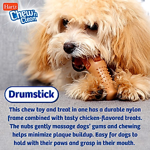 Hartz Chew ‘n Clean Chicken Flavored Drumstick Dog Treat & Chew Toy, Small, 2 Pack