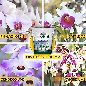 Harris Premium Orchid Potting Mix, Optimal Soil Mix for All Types of Orchids, 4qt, White