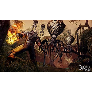 Bound by Flame - PlayStation 4 Standard Edition