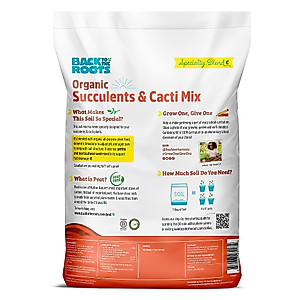 Back to the Roots 100% Organic Succulent & Cacti Mix (6 Quart) | Made in The USA | Premium Nutrition for Indoor and Outdoor Plants