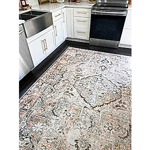 Kemer Collection Machine Washable Area Rug for Living Room Bedroom - Vintage Distressed Faded - Traditional Boho Bohemian Farmhouse Bordered Carpet - Pet Friendly - Brown, Beige, Cream - 7'6" x 9'6"