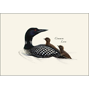 Earth Sky + Water - Loon Assortment Notecard Set - 8 Blank Cards with Envelopes (4 each of 2 styles)