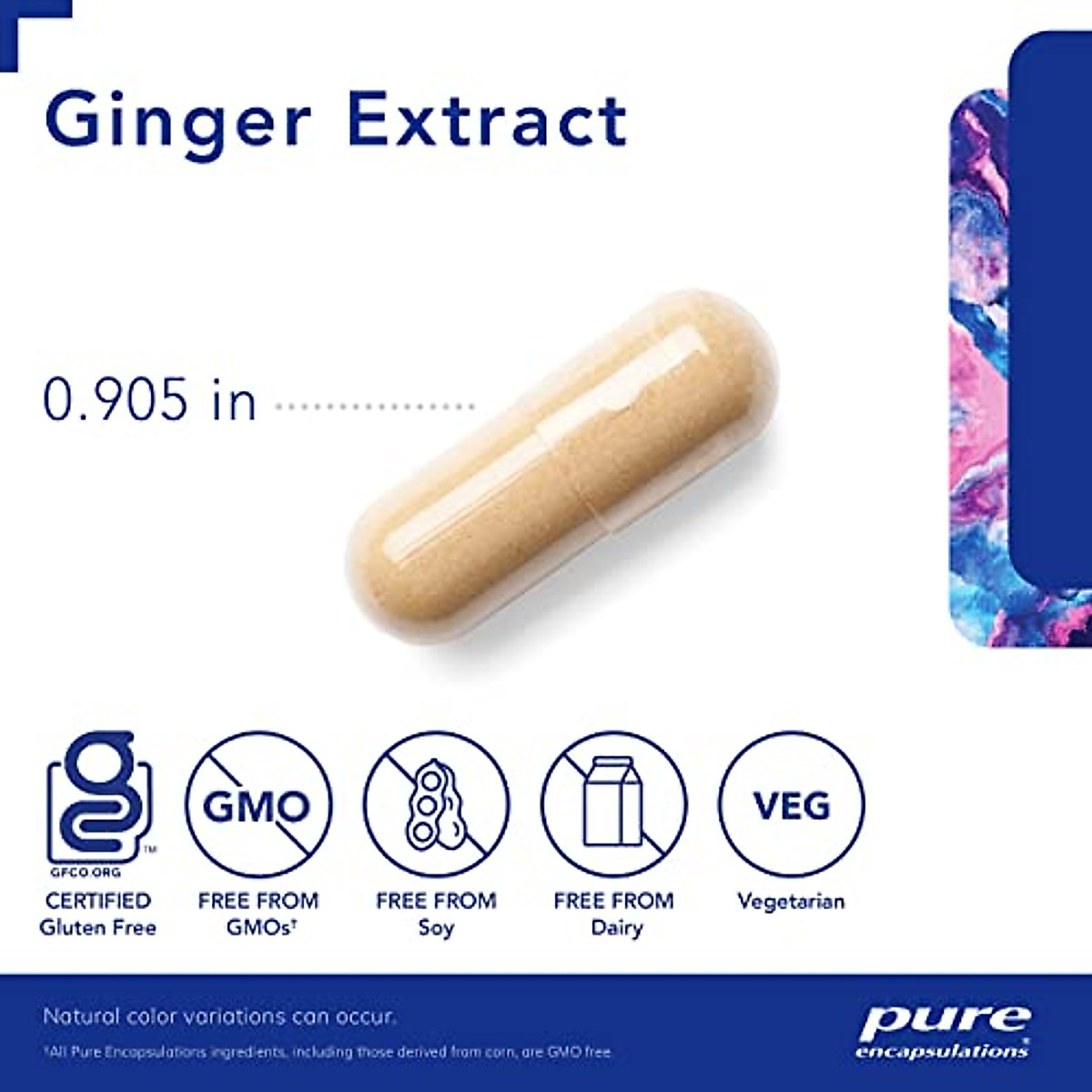 Pure Encapsulations Ginger Extract | Supplement to Support The Digestive, Musculoskeletal, and Cardiovascular Systems* | 120 Capsules