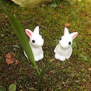 20pcs Collection White Miniature