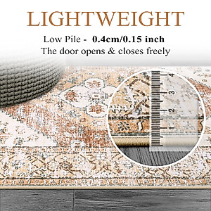 Lahome Boho Kitchen Rugs Washable - 2x3 Small Non-Slip Entry Rugs for Inside House Oriental Throw Area Rugs for Bedroom Accent Distressed Floor Doormat Carpet for Bathroom Entryway Laundry Living Room