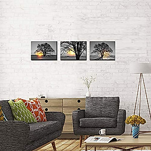 Nachic Wall - 3 Piece Black and White Tree Wall Art Gold Sunset Landscape Painting Print on Canvas Framed Warm Winter Scenery Poster for Living Room Bedroom Decoration