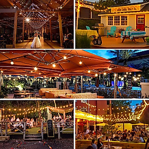 Pallerina LED Replacement Light Bulbs, Shatterproof Dimmable Globe Bulbs for Indoor Outdoor Patio Decor,0.6W Per Bulb,Warm White (G40 Clear Light Bulbs, 25 Pack)