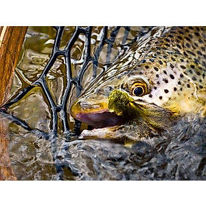 SF 6PCS Pre Tied Loop Fly Tapered Leader Nylon Fly Fishing Trout Leader Line 7.5FT-5X