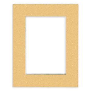 Craig Frames B5075 Pre-Cut Mat Board for 20x30 Print, 24x36, Frosted Gold