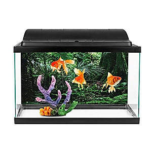 Yuehuam Fish Tank Background PVC 3D Aquarium Rainforest Background Poster Fish Tank Wall Picture Painting Decoration Self Adhesive Sticker for Reptile Box(Various Sizes)