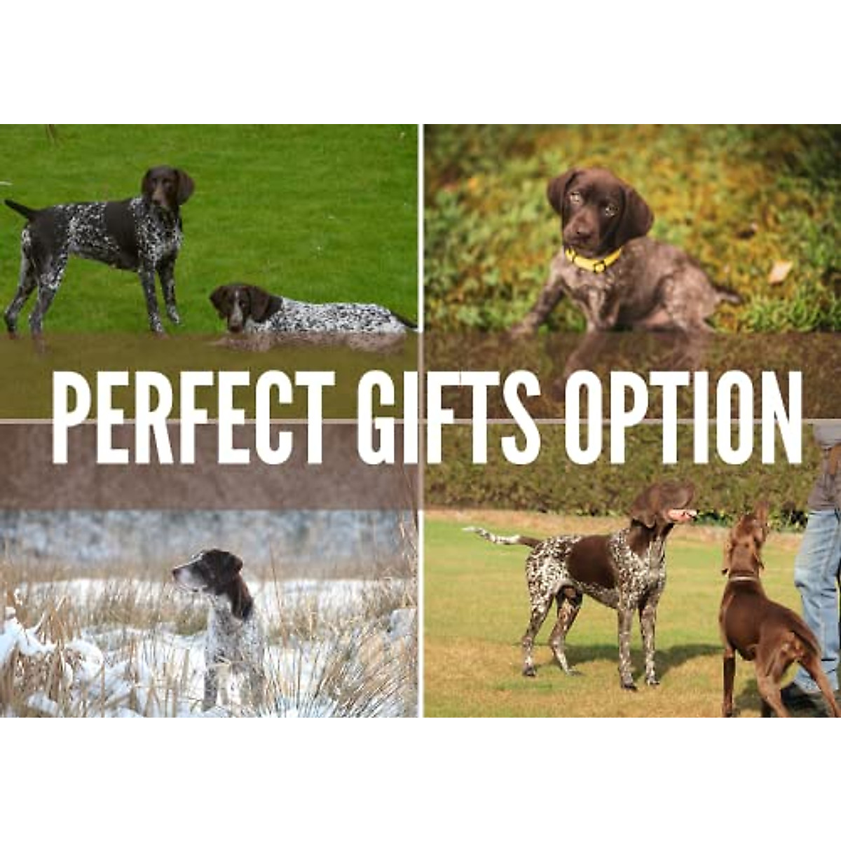 German Shorthaired Pointer Gifts, Dog Lover Throw Blanket, Soft Throw Blanket 50"x65", for Couch Sofa Bed Camping Travel Home Decor